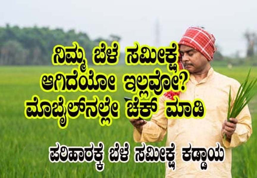 ರೈತ ಮಿತ್ರರೇ ನಿಮ್ಮ ಬೆಳೆ ಸಮೀಕ್ಷೆ ಹೀಗಾದರೆ ಮಾತ್ರ ಬೆಳೆ ಪರಿಹಾರ ಸಿಗಲಿದೆ ...